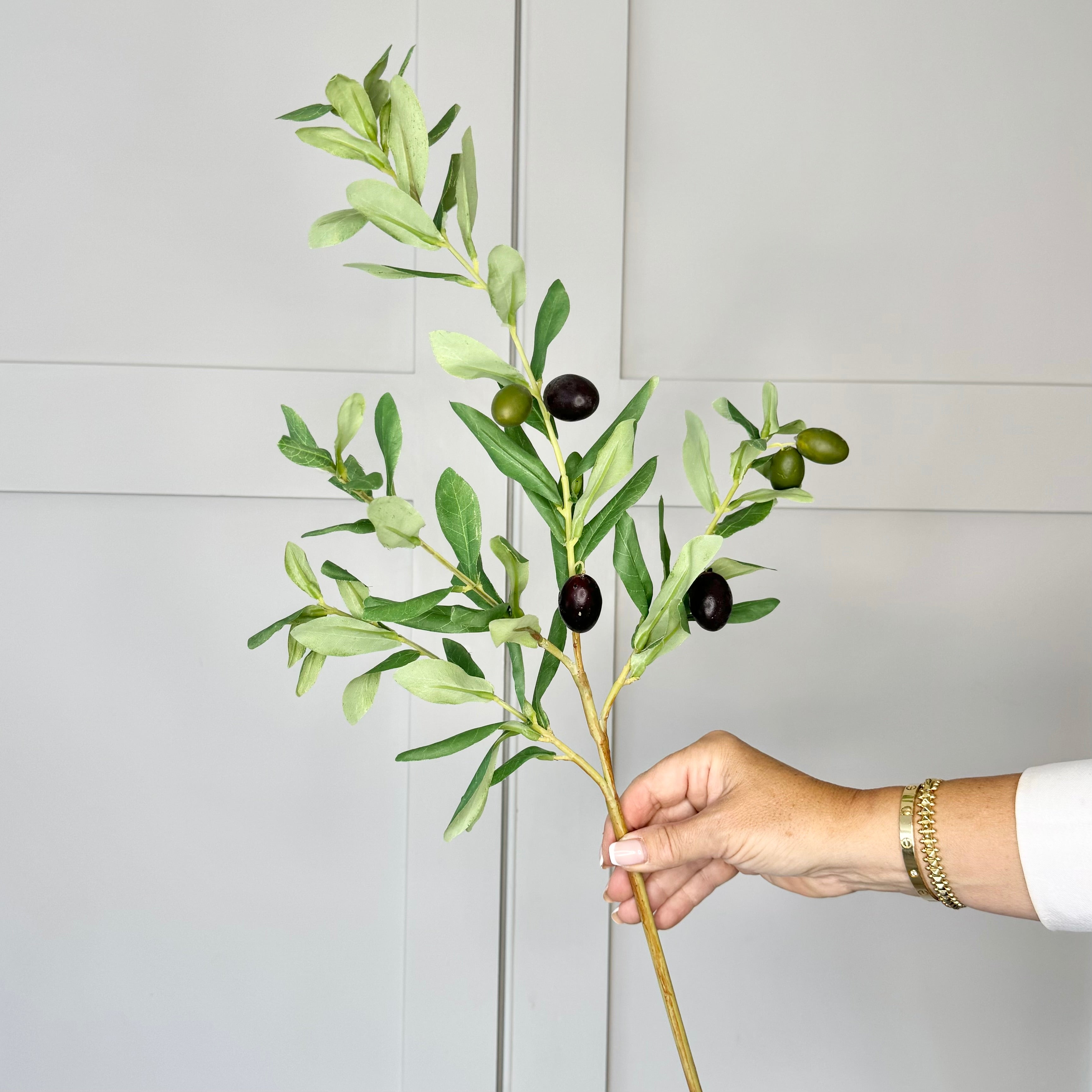 Tides Exclusive Olive Branch – Tides Home And Garden