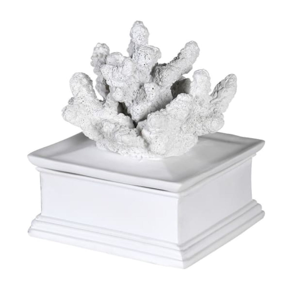 Coral Trink Box – Tides Home And Garden